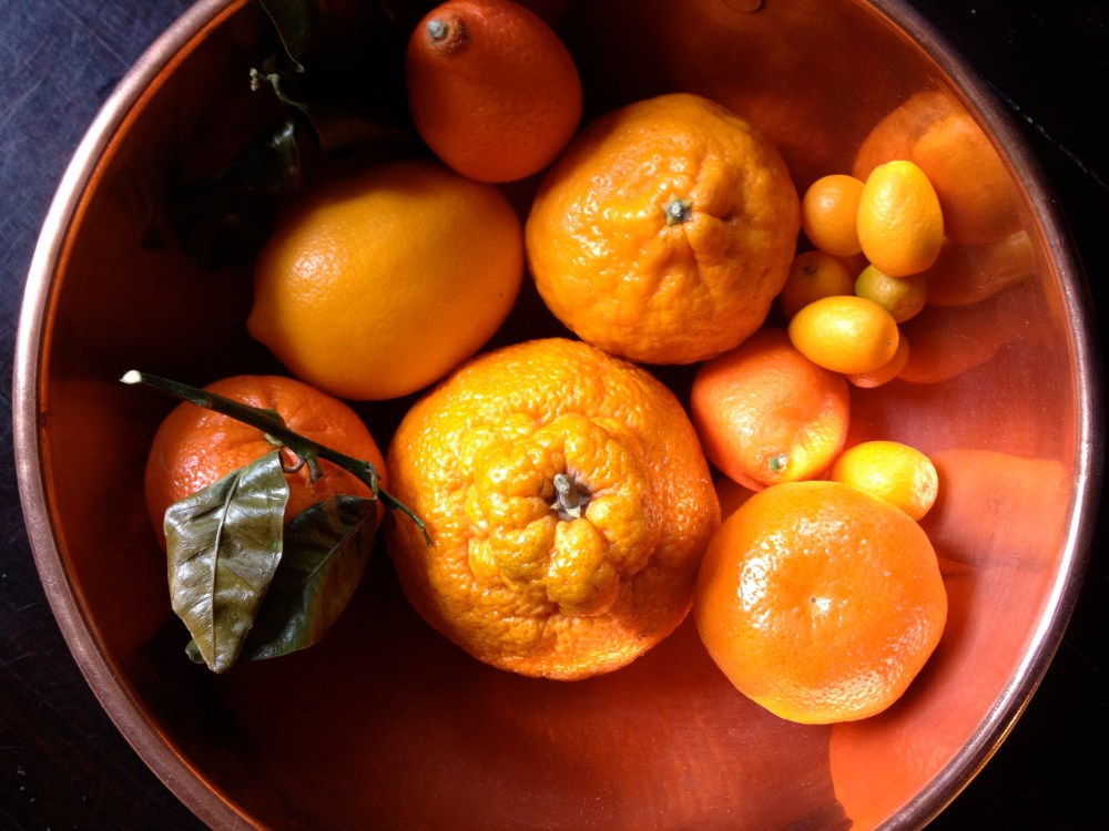 The Sumo Orange | 8.ate@eight